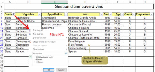 comment trier ou filtrer les données | Coursinfo.fr