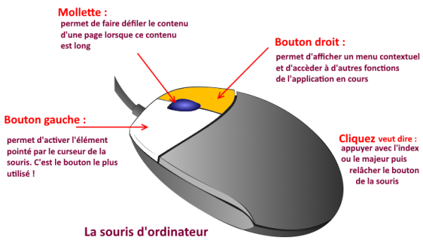 Comment utiliser la souris ? | Coursinfo.fr